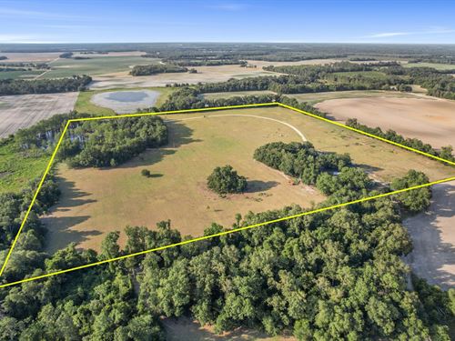 Alabama Cattle Farms for Sale