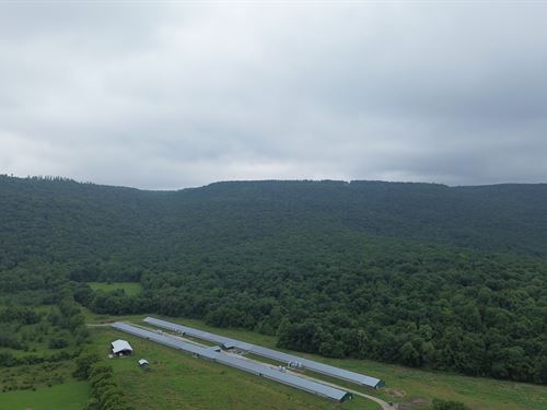Tennessee Poultry Farms for Sale : FARMFLIP