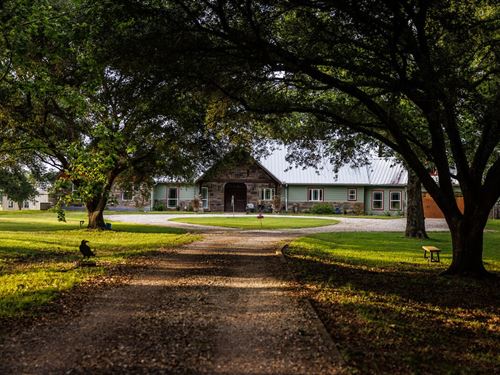 Texas Chicken Farms for Sale : FARMFLIP