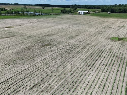 Georgia Cattle Farms for Sale : FARMFLIP