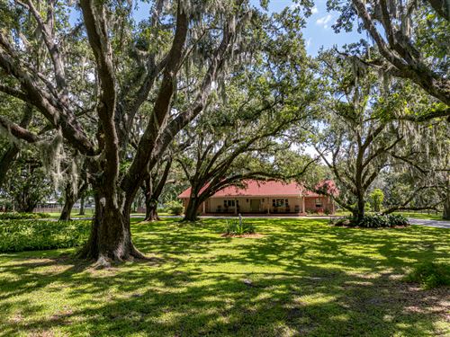 Florida Farms for Sale : FARMFLIP