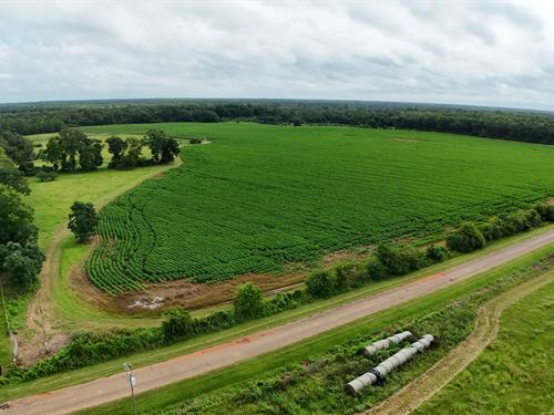 Georgia Cattle Farms for Sale