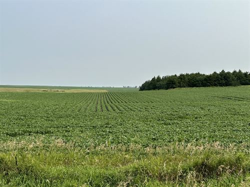Iowa Farms for Sale & Farmland for Sale