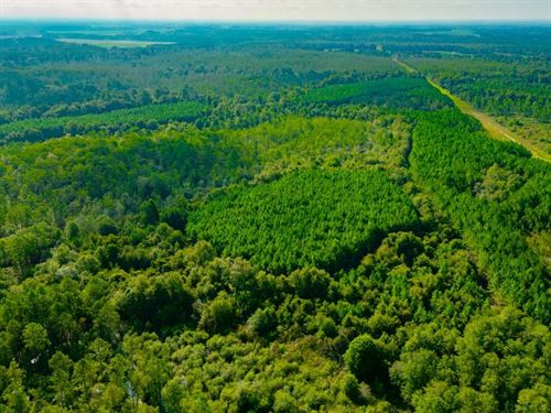 Georgia Farms for Sale : Page 2 of 65 : FARMFLIP