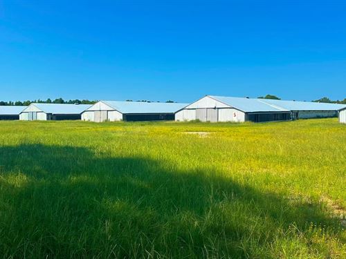 Georgia Poultry Farms for Sale : Page 2 of 4