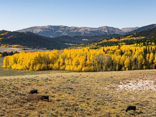 Wyoming Farms for Sale : FARMFLIP