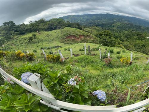 Costa Rica Farms for Sale : FARMFLIP