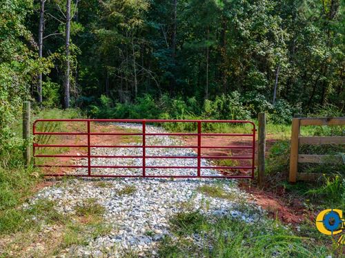 South Carolina Farms for Sale & Farmland for Sale : Page 2 of 12