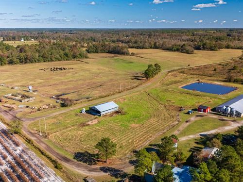 North Carolina Farms for Sale & Farmland for Sale : Page 5 of 16