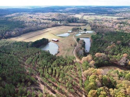 Tennessee Cattle Farms for Sale