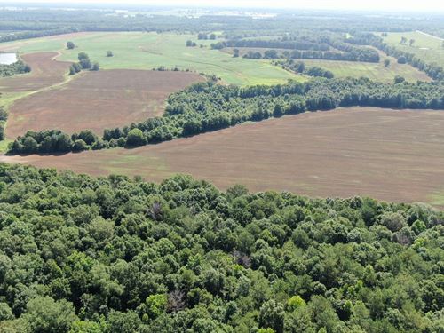Alabama Farms for Sale & Farmland for Sale