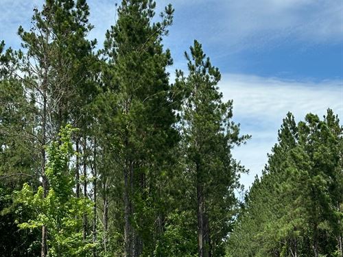 Appleton Alabama Farms for Sale : FARMFLIP