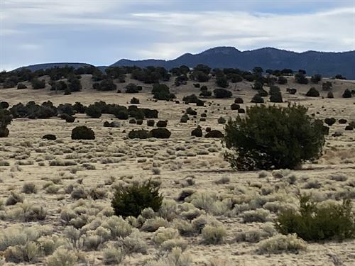 New Mexico Farms for Sale & Farmland for Sale : Page 4 of 7