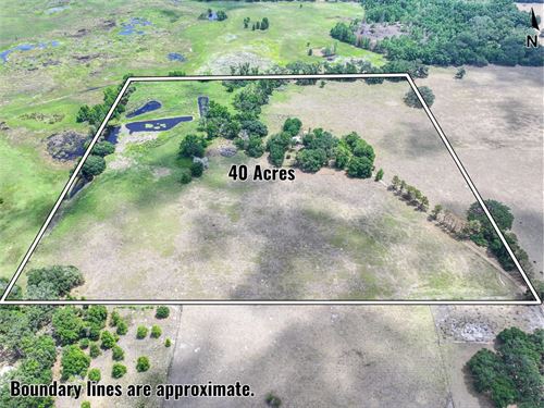 Center Hill Florida Livestock Farms for Sale
