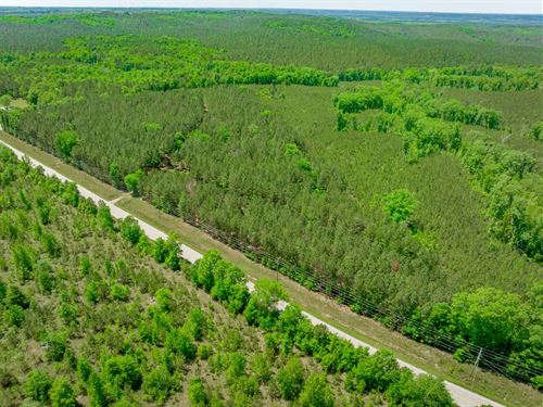 Ridgeway South Carolina Tree Farm Farms for Sale